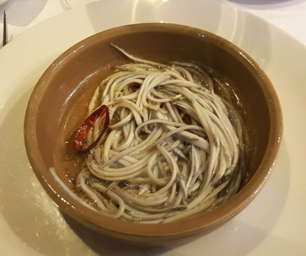 Angula Precios en España | Temporada Angulas Vivas Río Miño del Norte